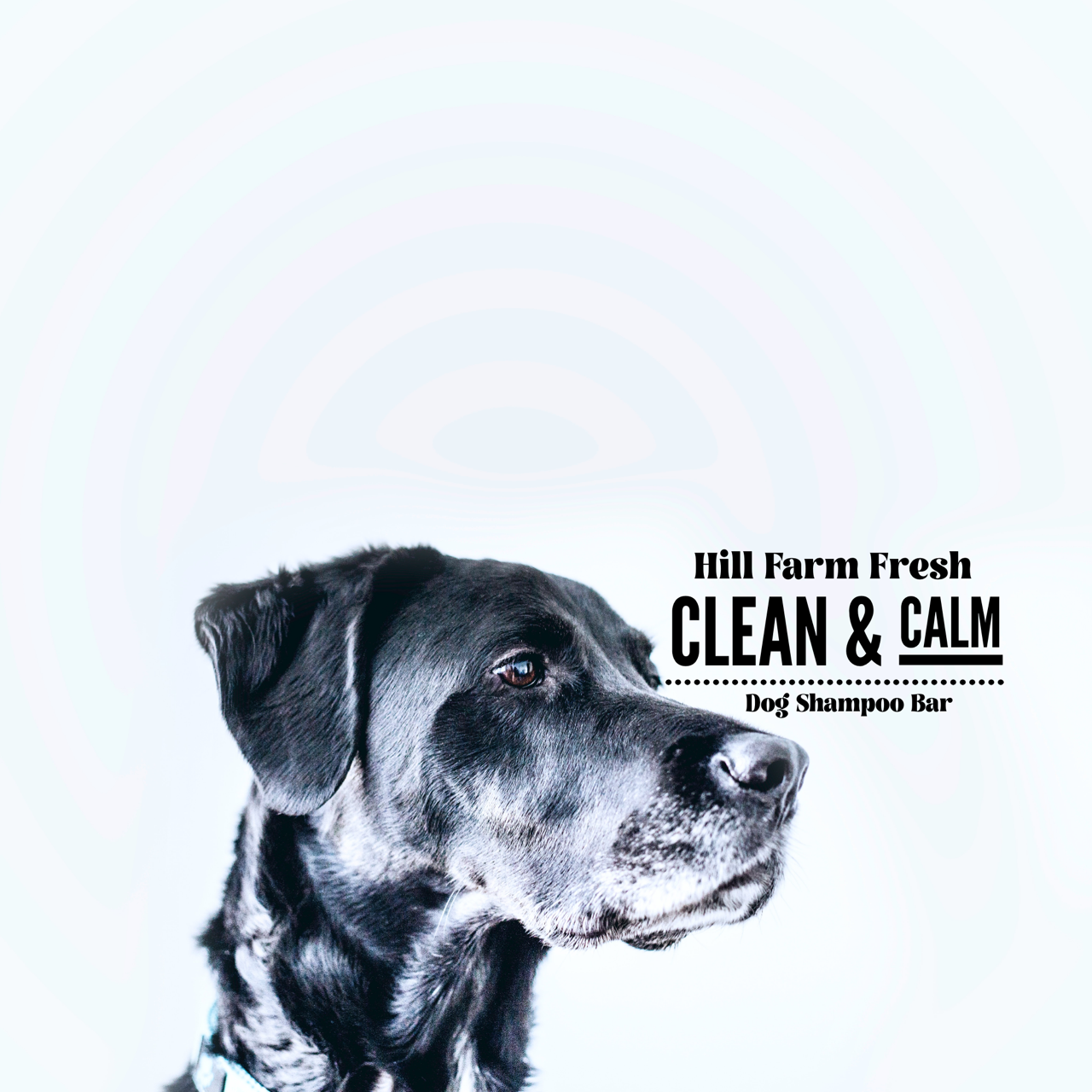 Dog Bar – Hill Farm Fresh
